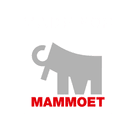 Made for Mammoet | What's your next move?