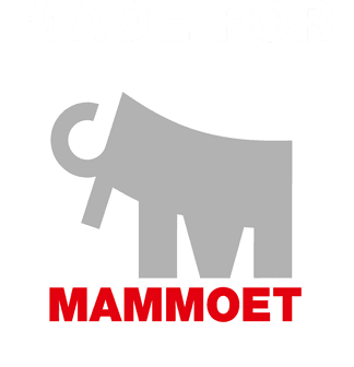 Made for Mammoet | What's your next move?
