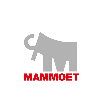 Werken bij Mammoet | Groeipaden