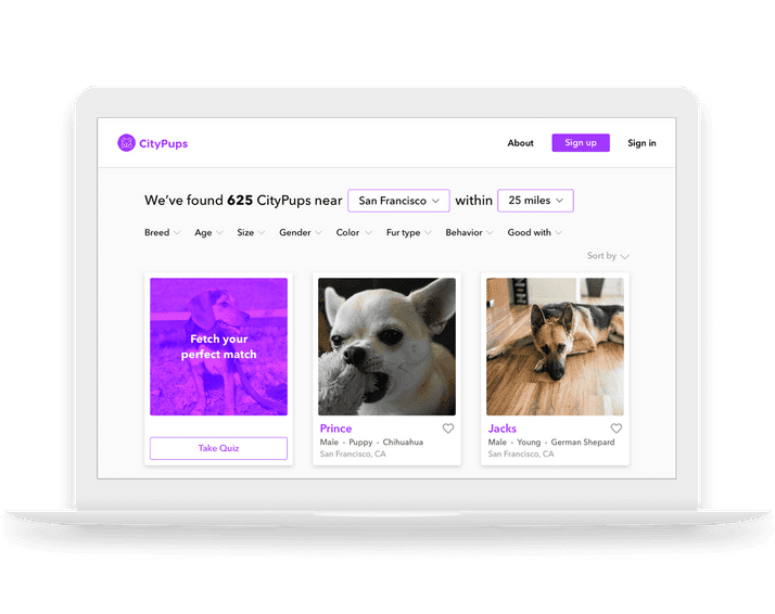 Best UI/UX Design Portfolios | Springboard