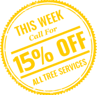 Accurate Tree & Landscape St Louis | Call For A Free Estimate