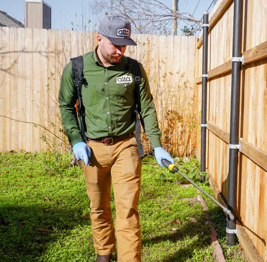 Alta Pest Control Kansas City | Call For A Quote Or To Schedule Prompt ...