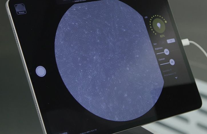 Secure Your Future with American Cell Technology