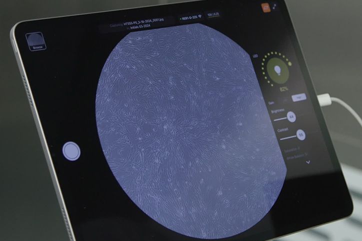 Secure Your Future with American Cell Technology