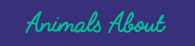 Look out! Animals About! wildlife safety signs.