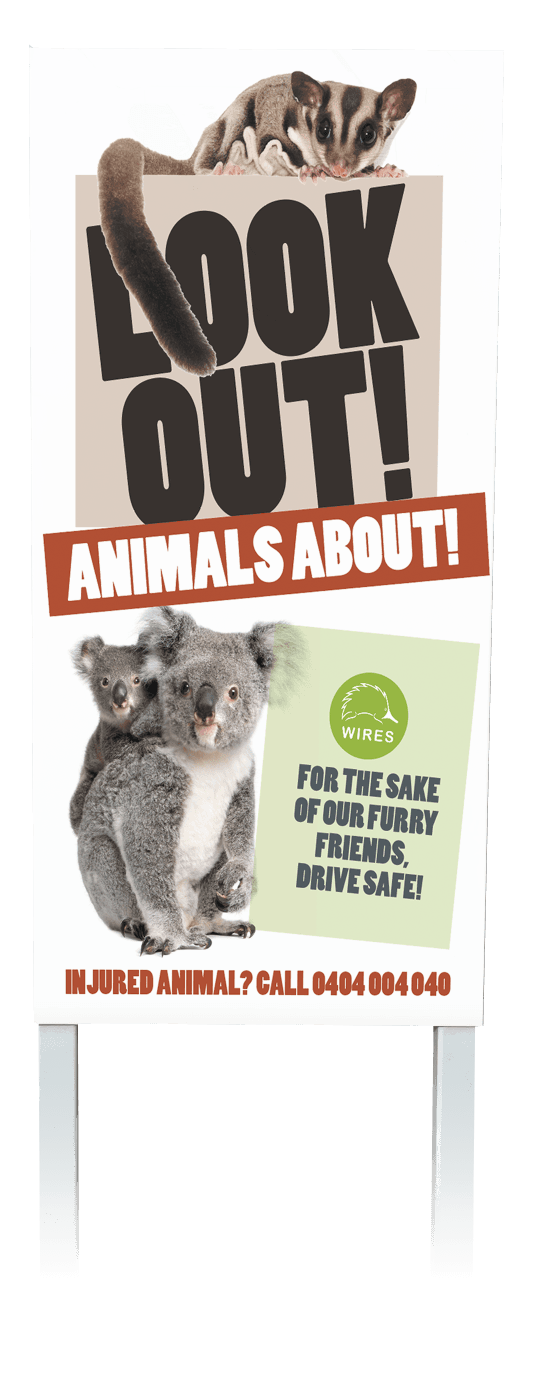 Look out! Animals About! wildlife safety signs.