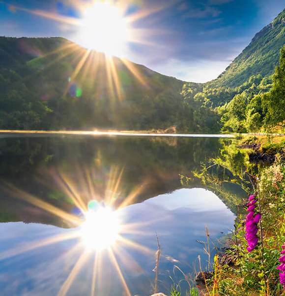 The Art of Attunement | Thomas Hübl