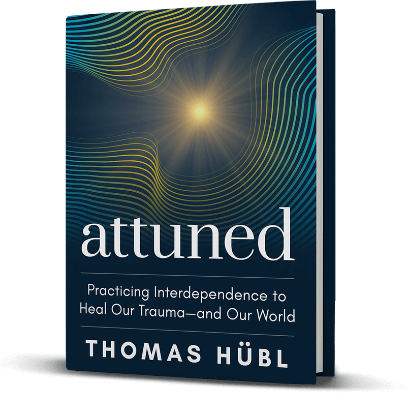 The Art of Attunement | Thomas Hübl