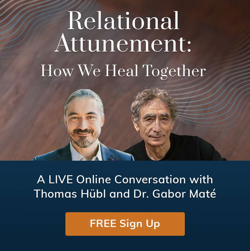 attuned by Thomas Hübl | Practicing Interdependence to Heal Our Trauma ...