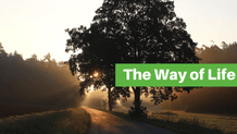 A Gospel campaign by