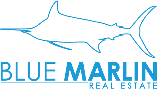 Our professional marketing material makes a statement!