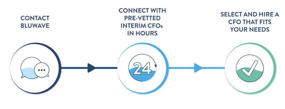 Independent Consultant & Interim Exec Vetting