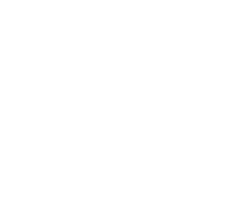 Continental Services - Core Values