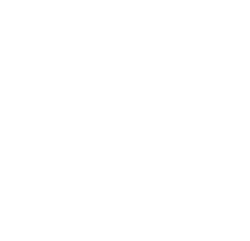 Continental Services - Core Values