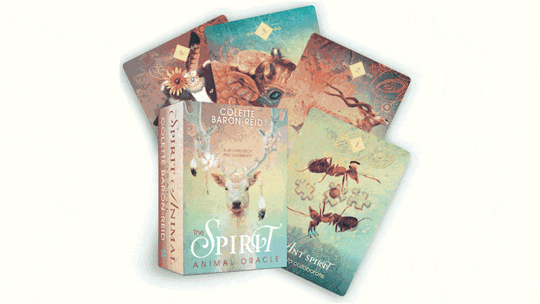 Pick a Card to Get A Free Card Reading Using Hay House Oracle and Tarot ...