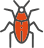 Fox Pest Control Virginia Beach & Newport News | Call For A Quote Or To ...