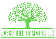 Jasso Tree Trimming Houston | Call For A Free Estimate