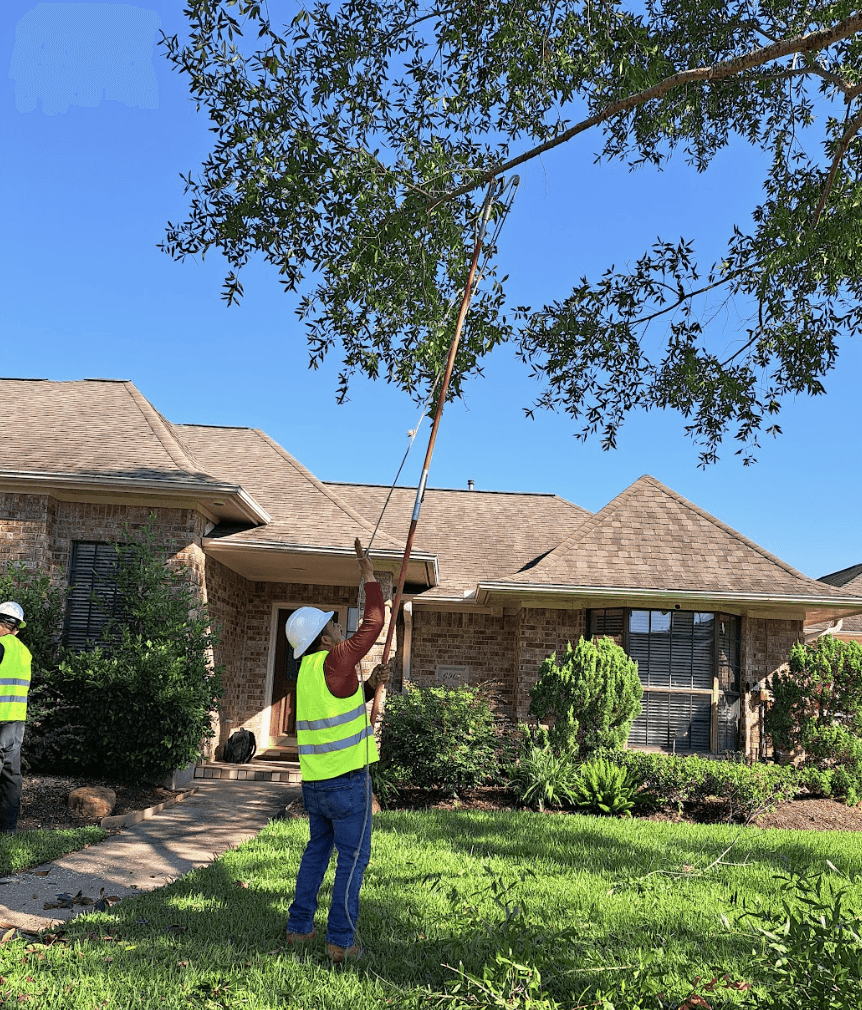 Jasso Tree Trimming Houston | Call For A Free Estimate