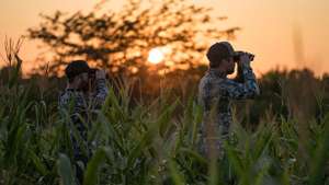 List your land for free