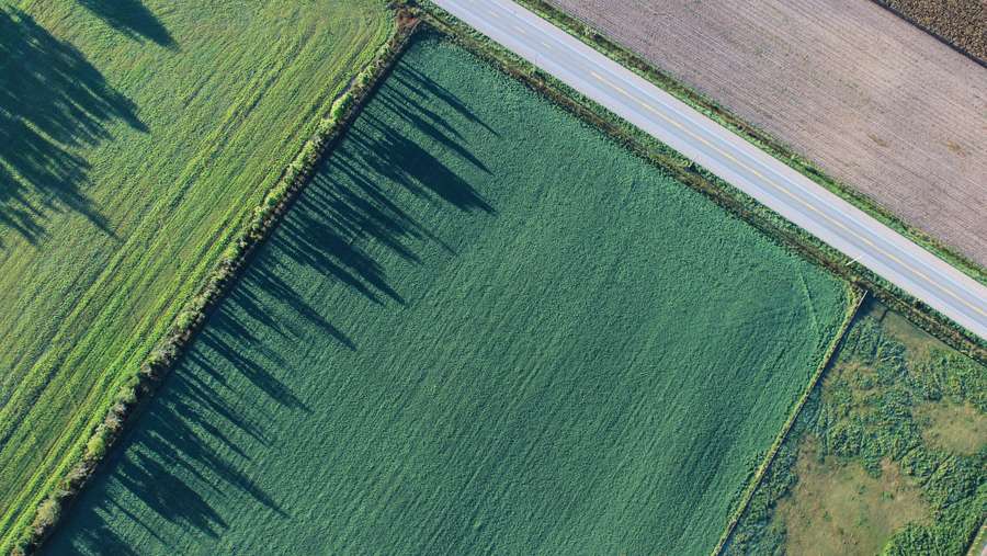 Earn money as a LandTrust Landowner