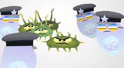 Animated Cancer Patient Education Videos - Luminations