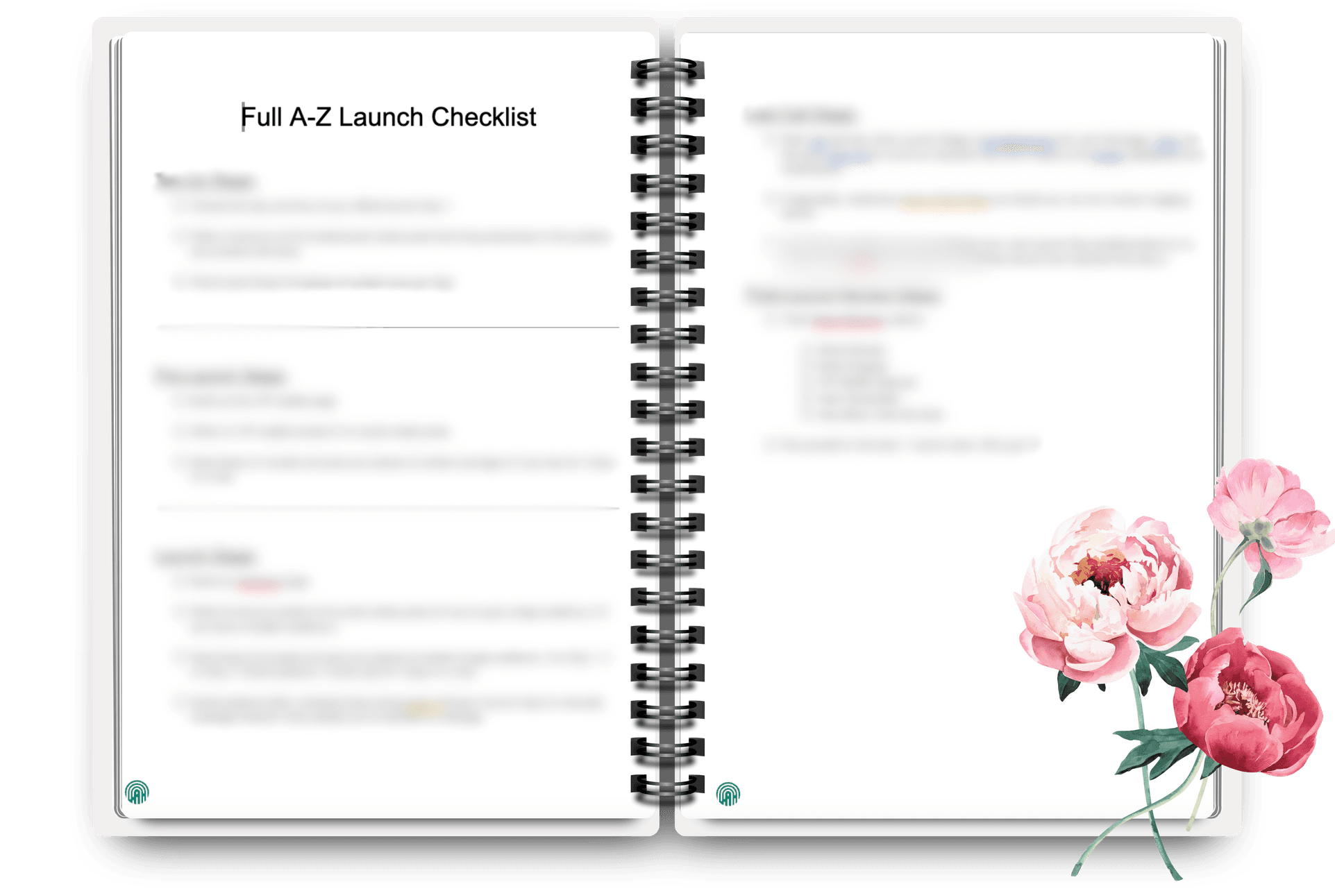 Cash Spike: How We Consistently Create Profitable 2-Day Launches