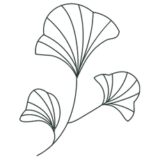 *The Ultimate Make Sales With DMs Kit