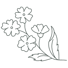 *The Ultimate Make Sales With DMs Kit