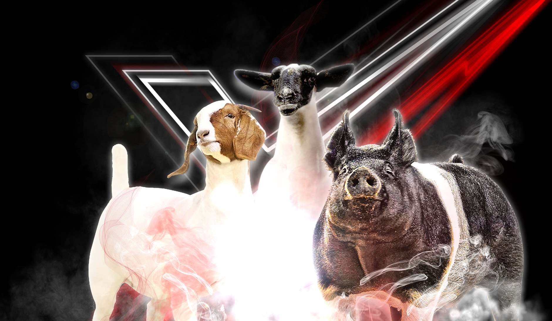 Next Level Livestock Camps