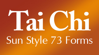 Tai Chi - Sun Style 73 Forms | Online Video Lessons | Dr Paul Lam