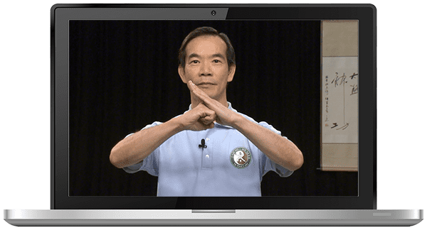 Tai Chi - Sun Style 73 Forms | Online Video Lessons | Dr Paul Lam