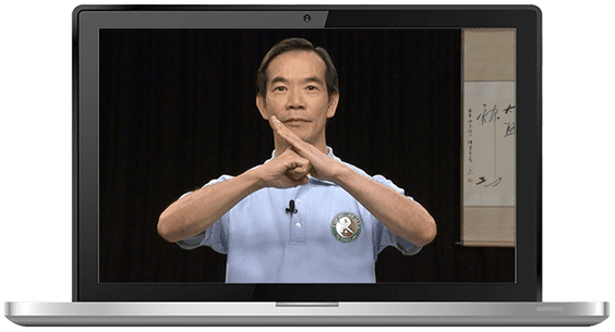 Tai Chi - Yang Style 40 Forms | Online Video Lessons | Dr Paul Lam