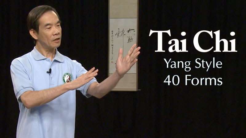 Tai Chi - Yang Style 40 Forms | Online Video Lessons | Dr Paul Lam