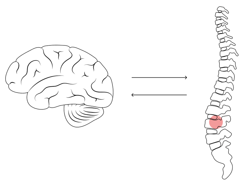 Relio: Back Pain Management