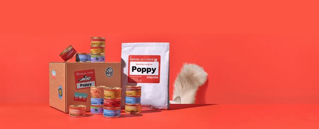 Republic of Cats | Cat food delivered to your door