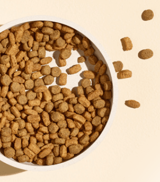 Republic of Cats | Our Products