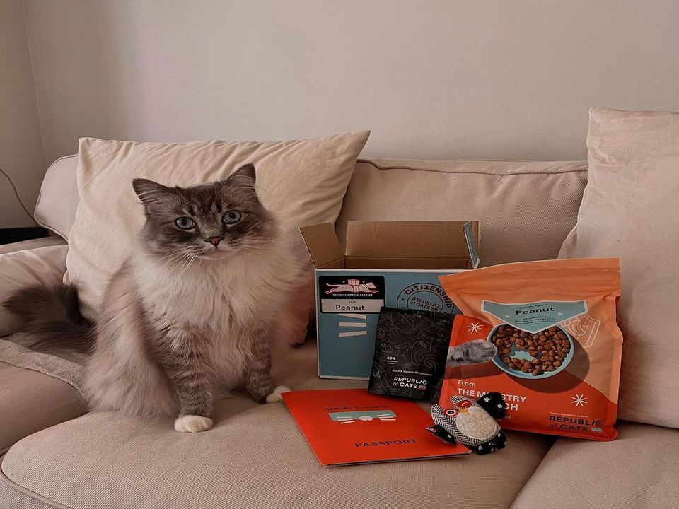 Republic of Cats | One stop shop