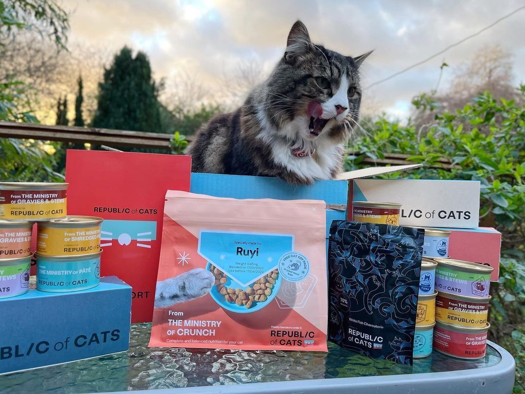 Republic of Cats | One stop shop