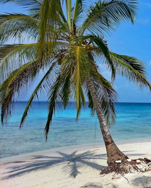 Panama Total Access Pass | Retire in | Move to Panama