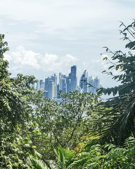 Panama Total Access Pass | Retire in | Move to Panama