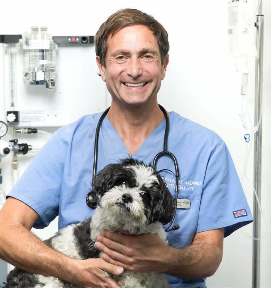 Dr Stewart Halperin BVMS MRCVS