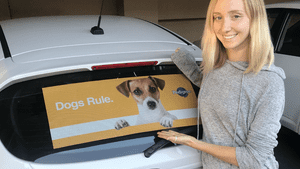 Stickr - Get Paid To Advertise On Your Car