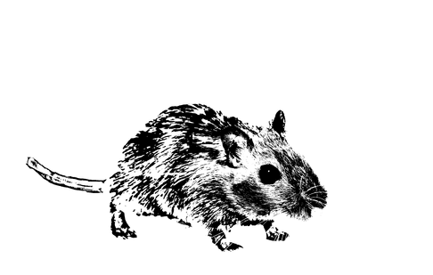 TRIGUARD Pest Control