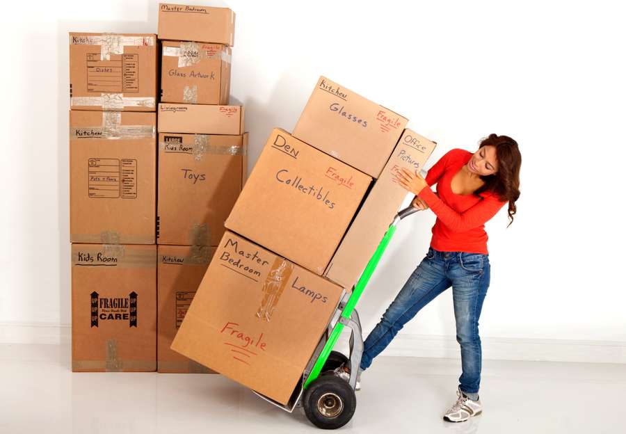 Moving & Delivery Services - Free Quote